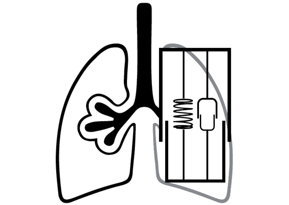 Fundamental Respiratory Mechanics | SCIREQ