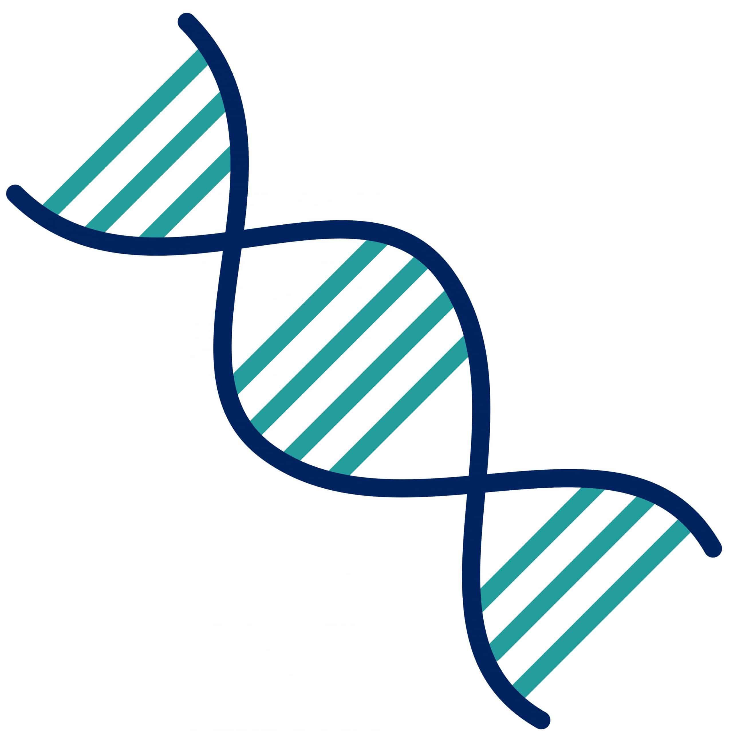 COPD Animal Models - SCIREQ