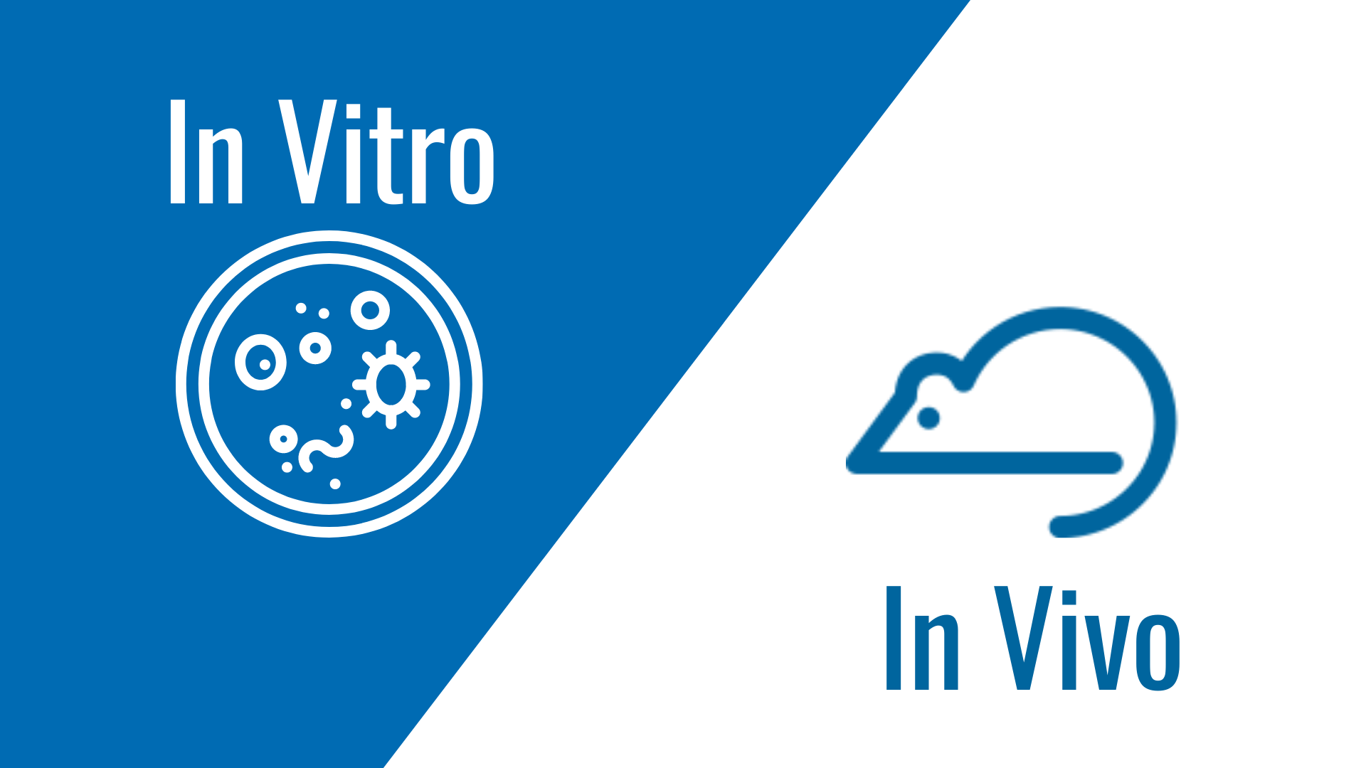 Moving into In Vivo Research - SCIREQ