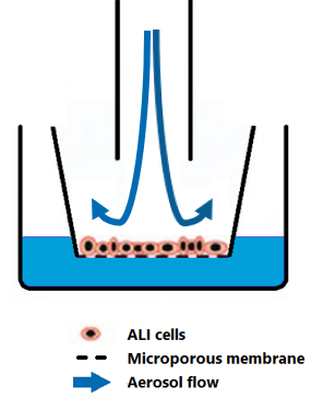 expoCube for in vitro PCLS and ALI/Transwell exposure - SCIREQ