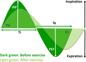 Pulmonary Impacts of Exercise in Polluted Environments