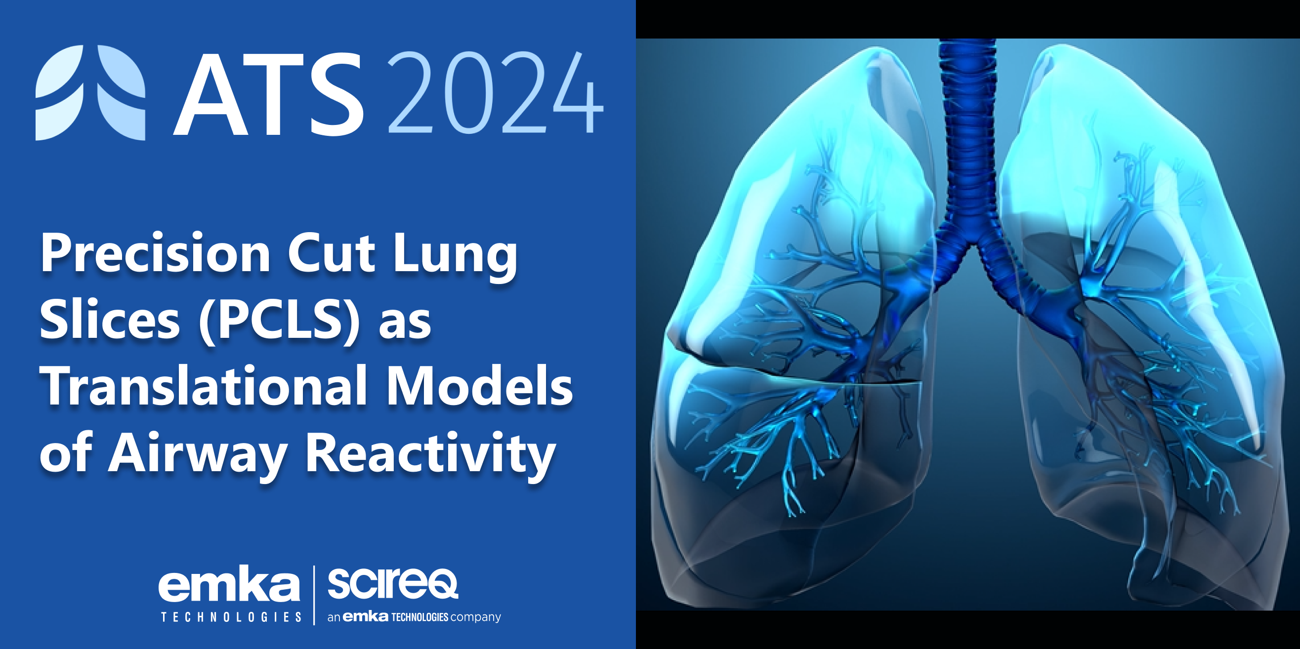 PCLS as Translational Models of Airway Reactivity