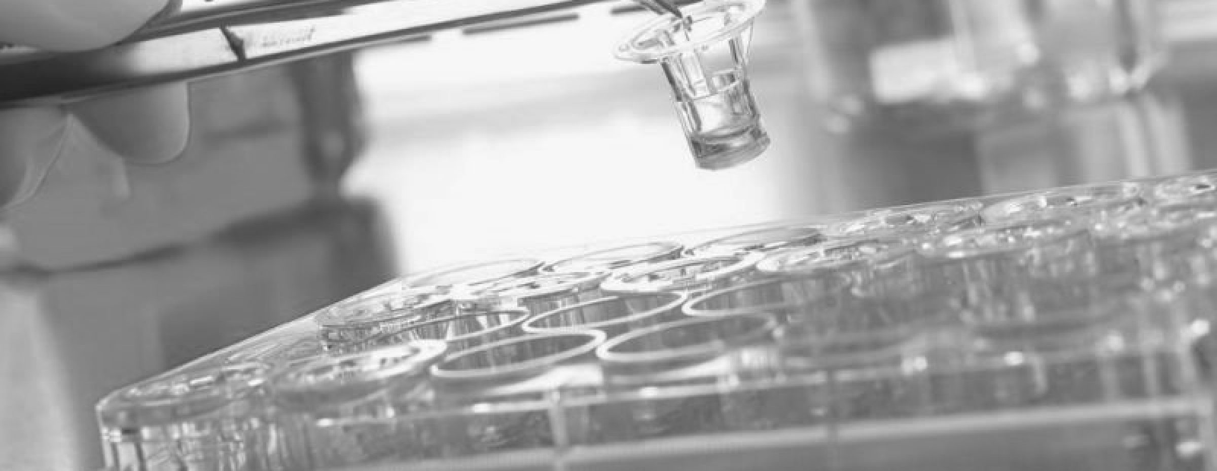 The advantages of using air-liquid interface exposure approaches